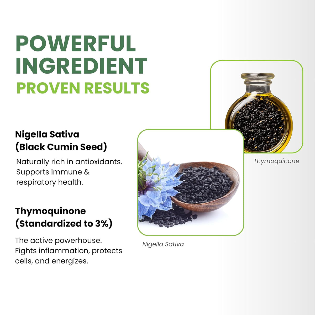 organic black seed oil supplement