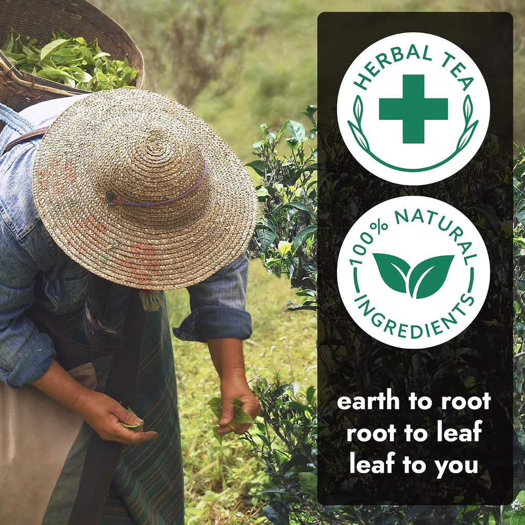 organic black tea for wellness