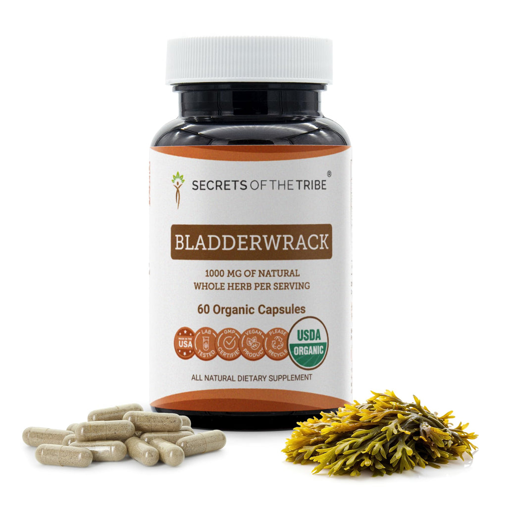 organic bladderwrack capsules for health