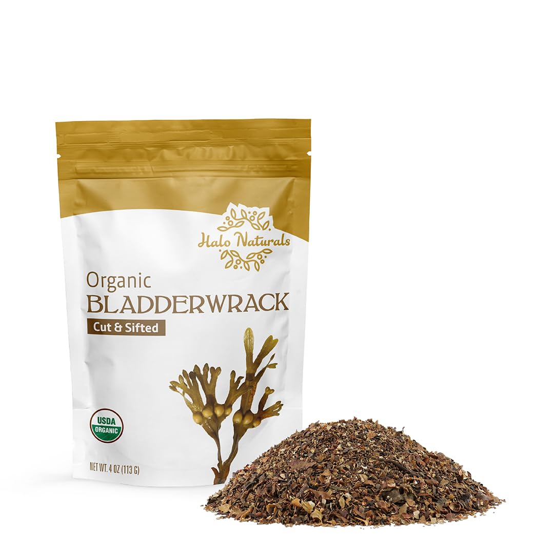 organic bladderwrack for sea moss gel