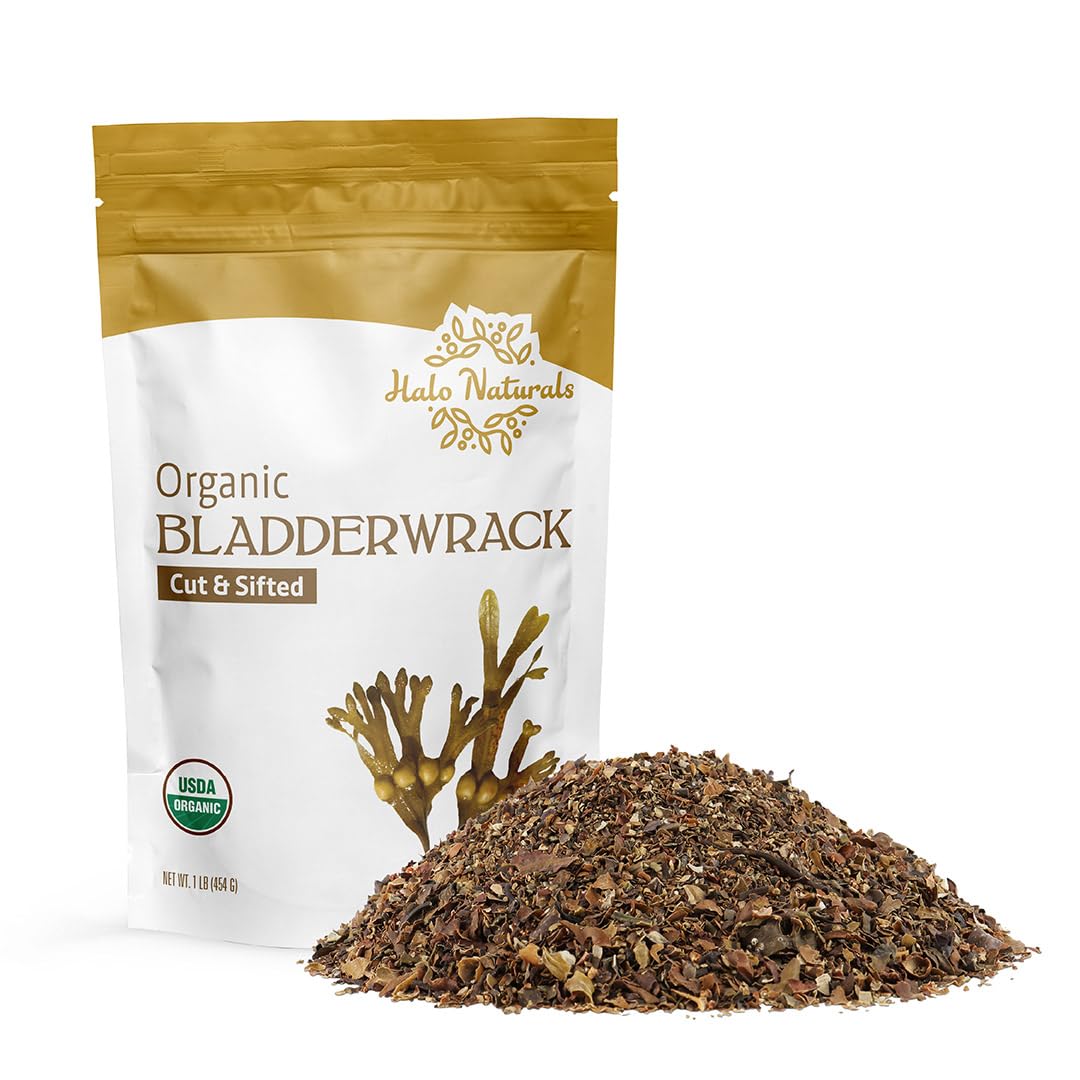 organic bladderwrack for sea moss gel