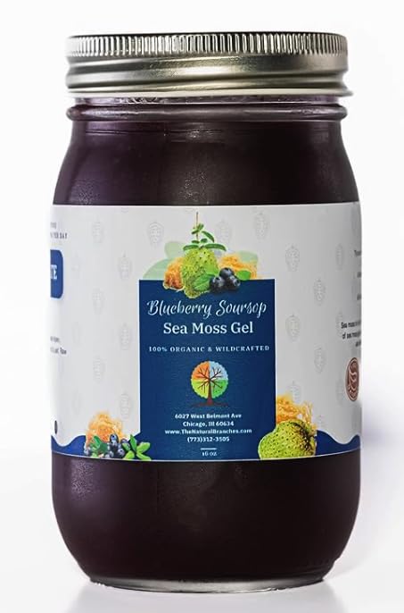 organic blueberry sea moss gel