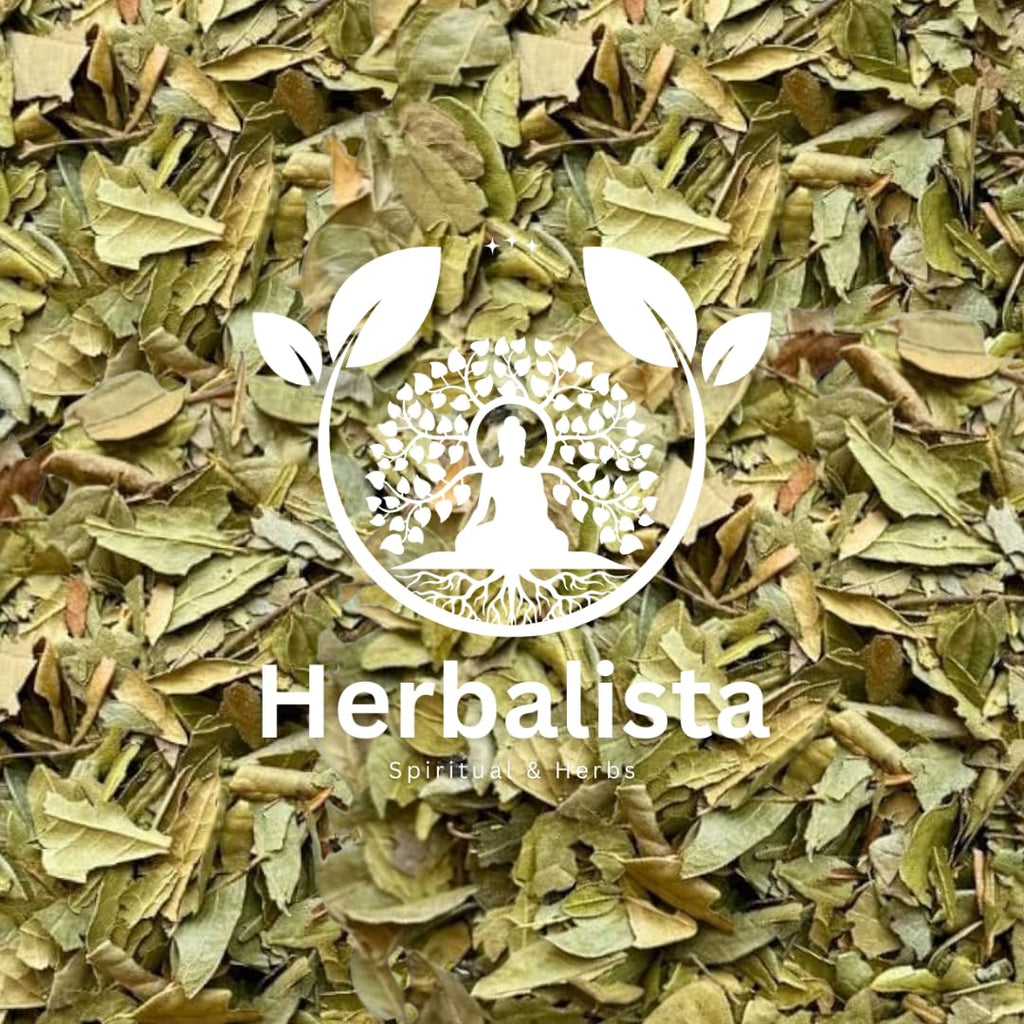 Organic boldo tea 30 cups