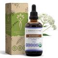 organic boneset herbal drops