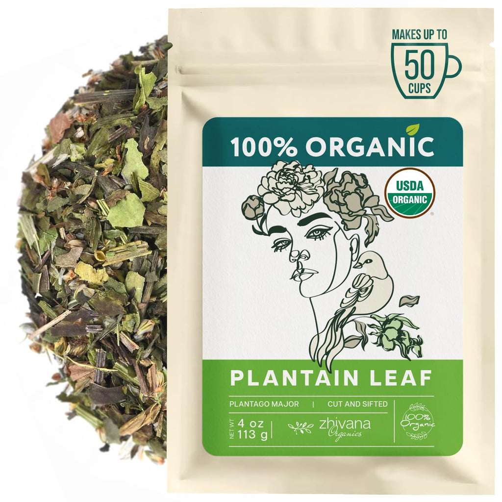 organic broadleaf plantain leaf tea
