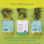 organic broccoli microgreens for wellness