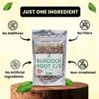 organic burdock root benefits