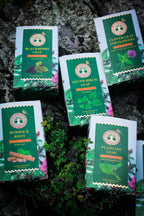 Organic burdock root culinary uses