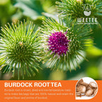 organic burdock root herbal tea