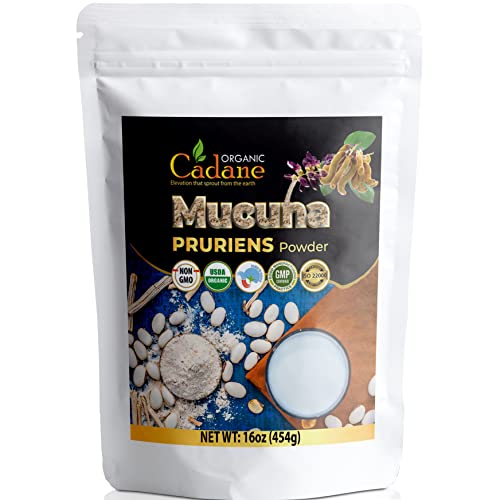 organic cadane mucuna pruriens powder benefits