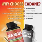 Organic Cadane sea moss for skin
