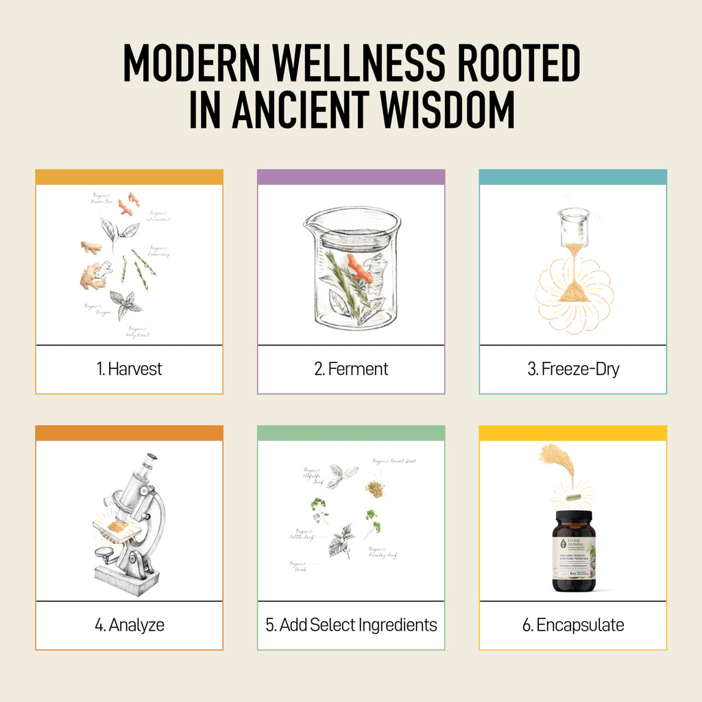 Organic capsules for digestive support