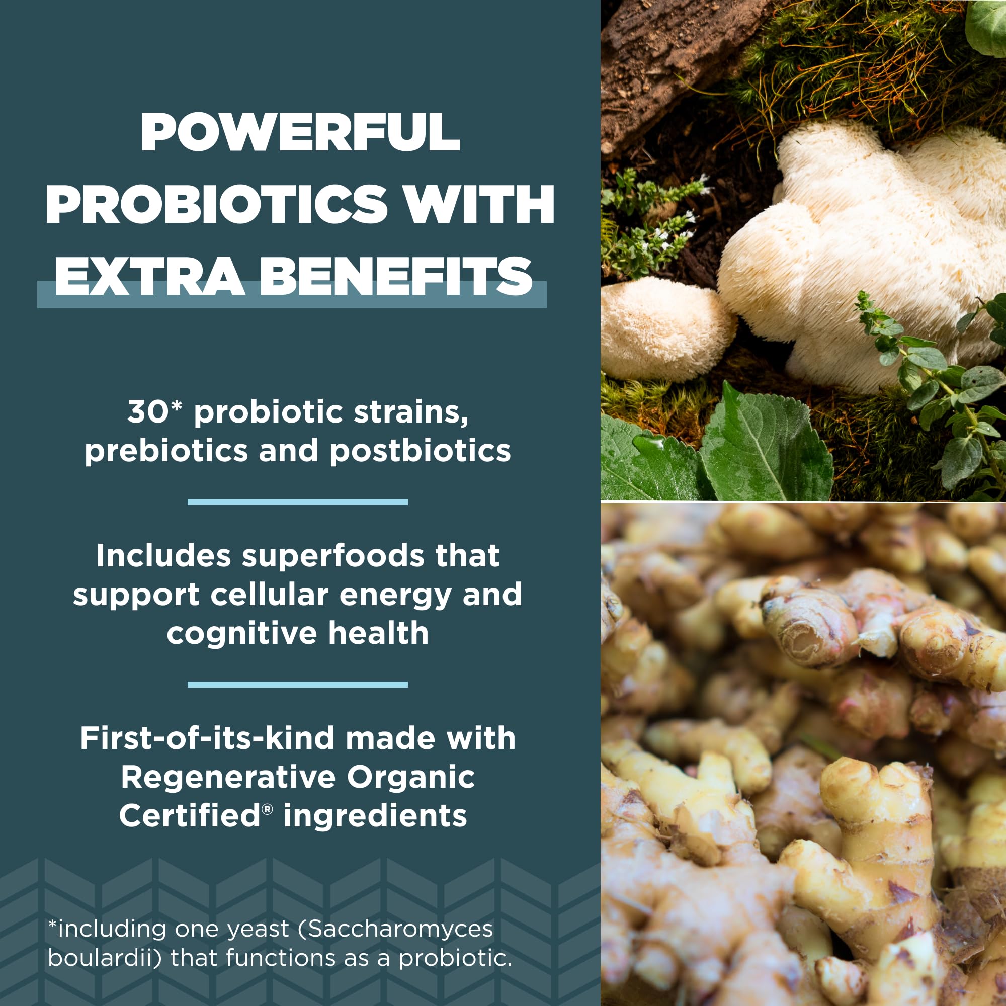 organic certified probiotics for health