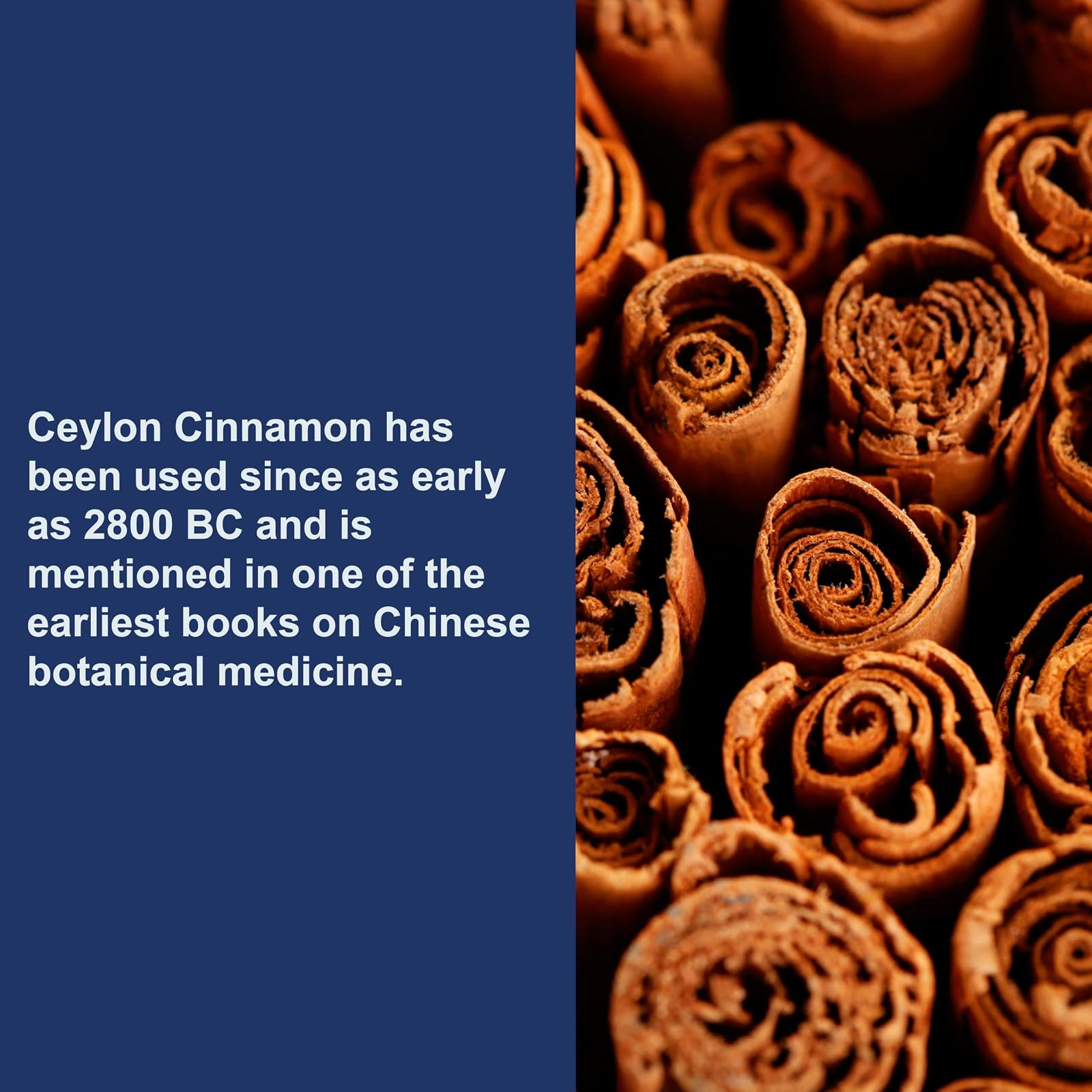 Organic Ceylon cinnamon for metabolism