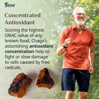 organic chaga chunks for wellness