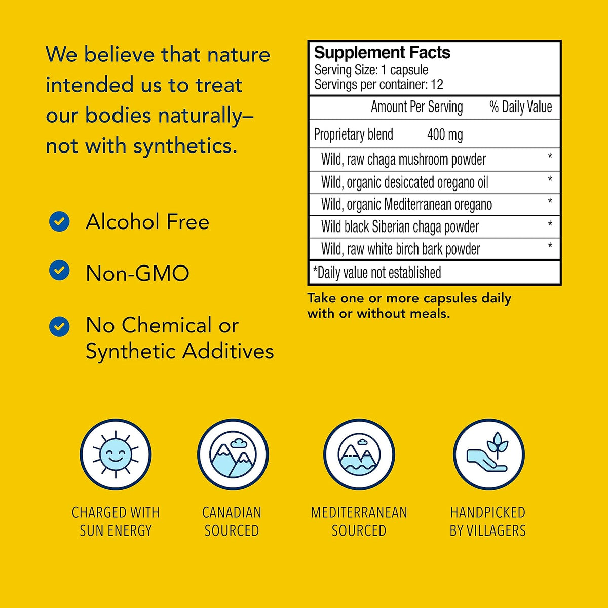 Organic Chaga extract in capsules