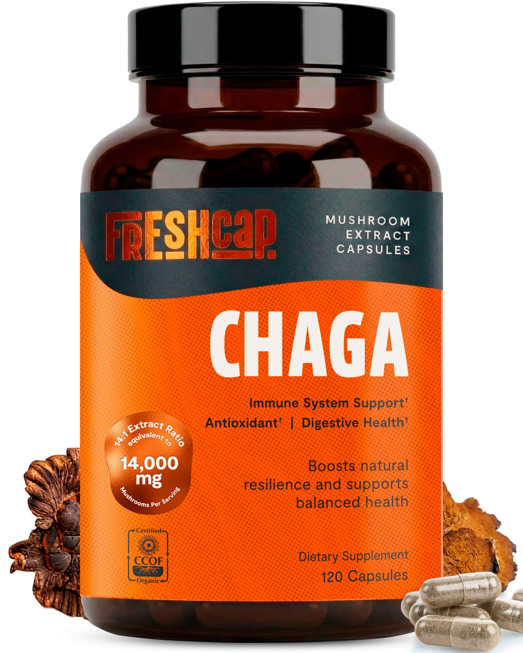 organic chaga mushroom capsules for immunity