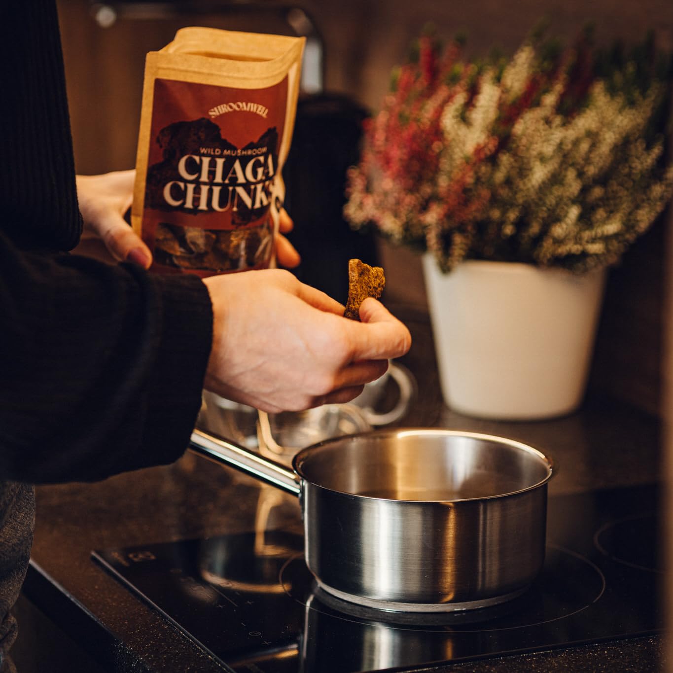 organic chaga mushroom chunks