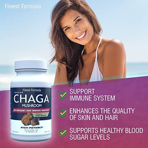 organic chaga mushroom dual extract
