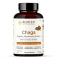 organic chaga mushroom extract capsules