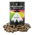 organic chaga mushroom extract capsules