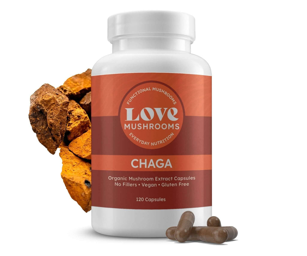 organic chaga mushroom extract capsules