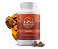 organic chaga mushroom extract capsules