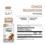 organic chaga mushroom extract for wellness