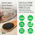 Organic chaga mushroom extract uses