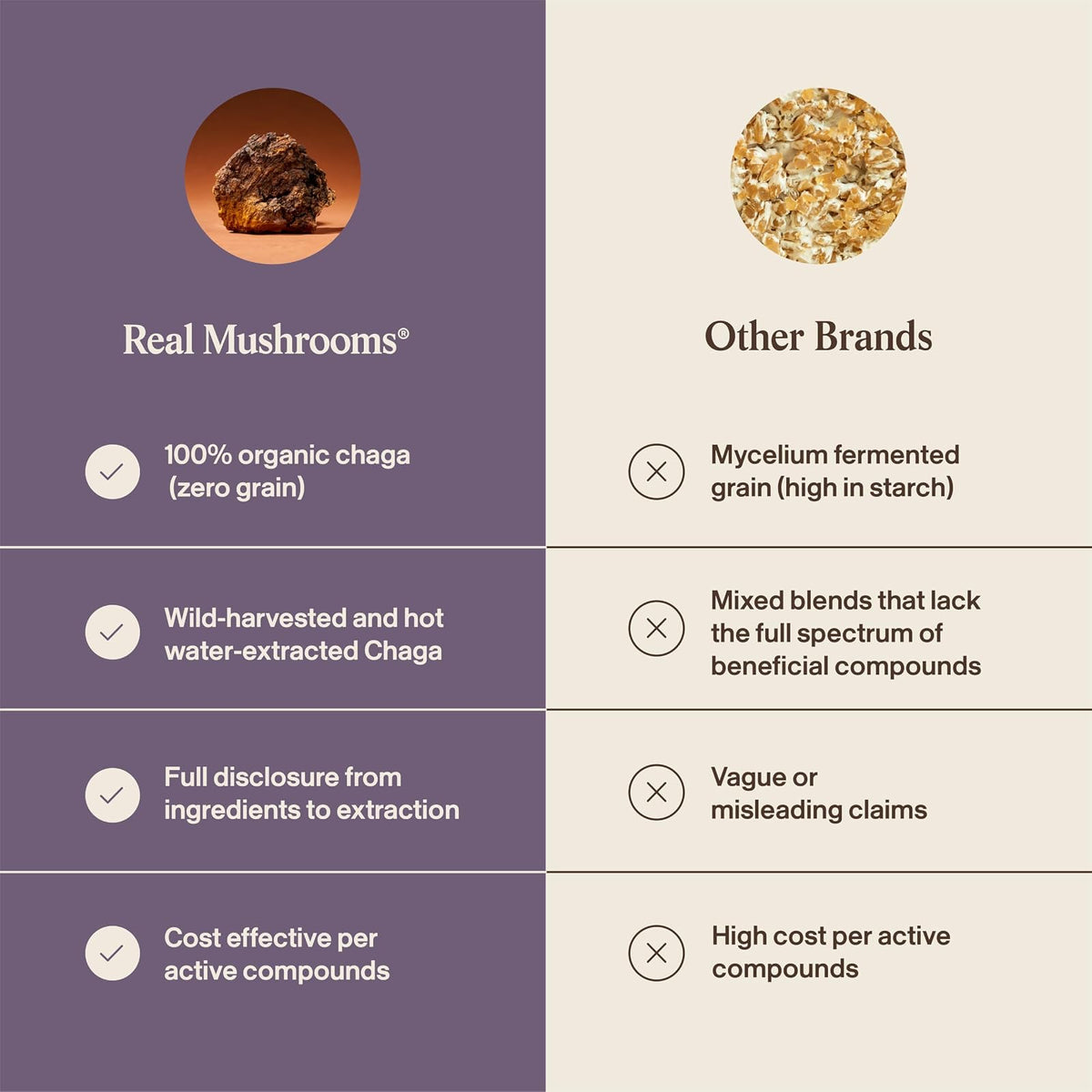 organic chaga mushroom extract