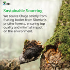 organic chaga mushroom for vitality