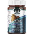 Organic chaga mushroom immune support