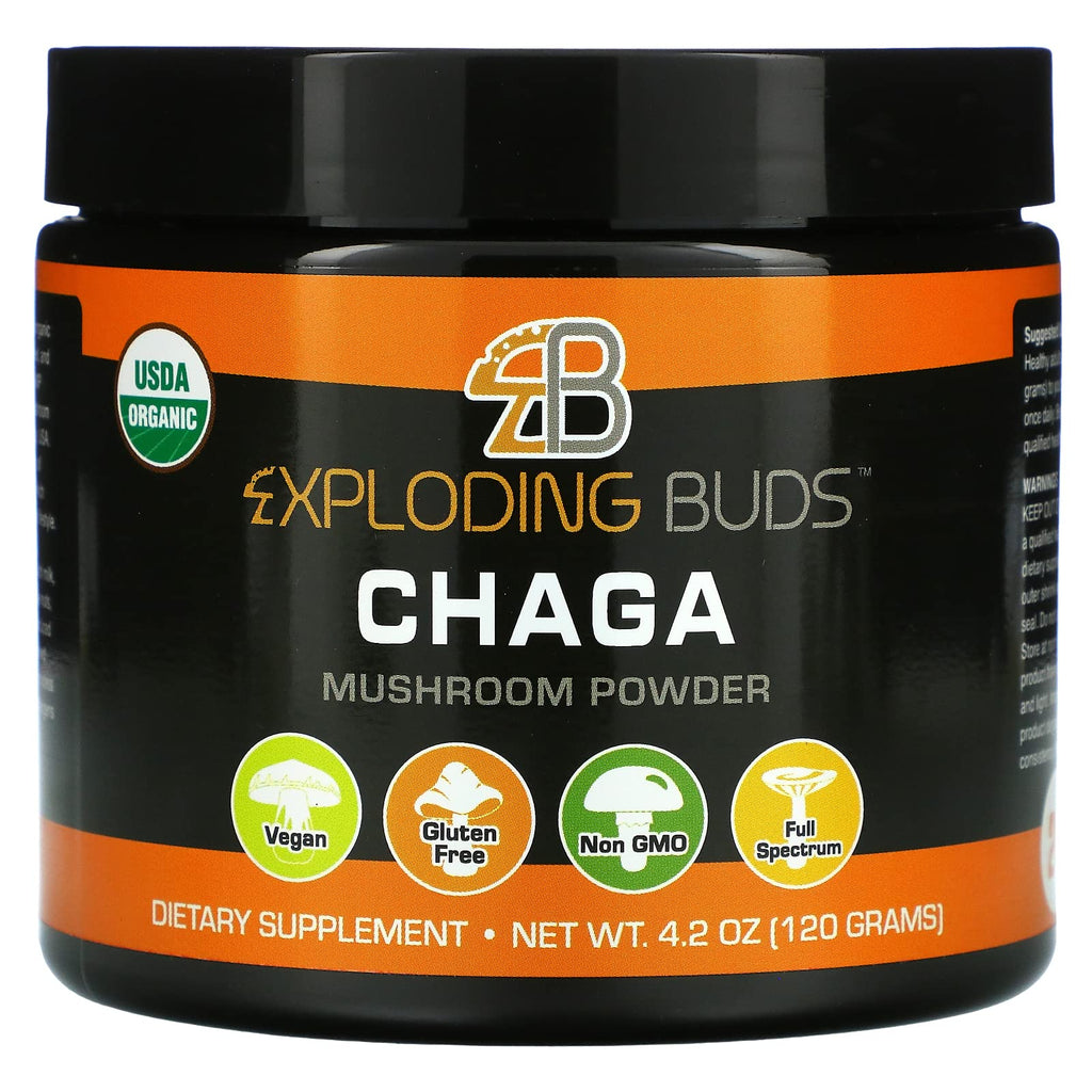organic chaga mushroom powder benefits