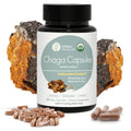 organic chaga mushroom powder capsules