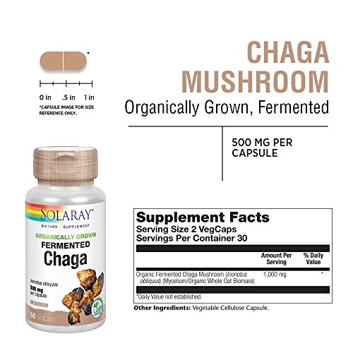 organic chaga mushroom supplement