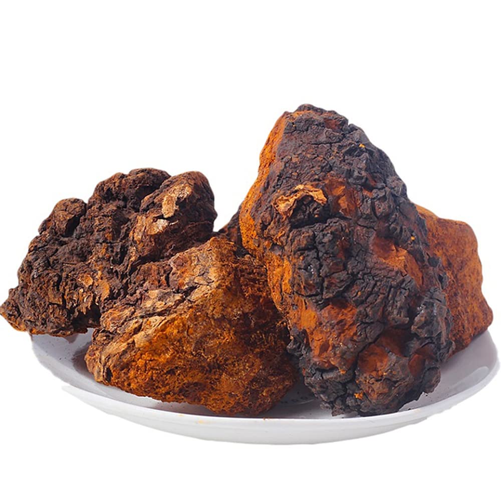 organic chaga mushroom tea benefits