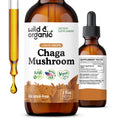 organic chaga mushroom tincture for immunity