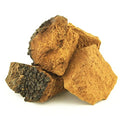 organic chaga mushrooms for health
