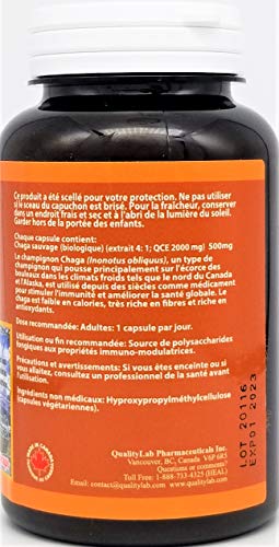 organic chaga mushrooms for wellness