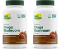 organic chaga mushrooms for wellness