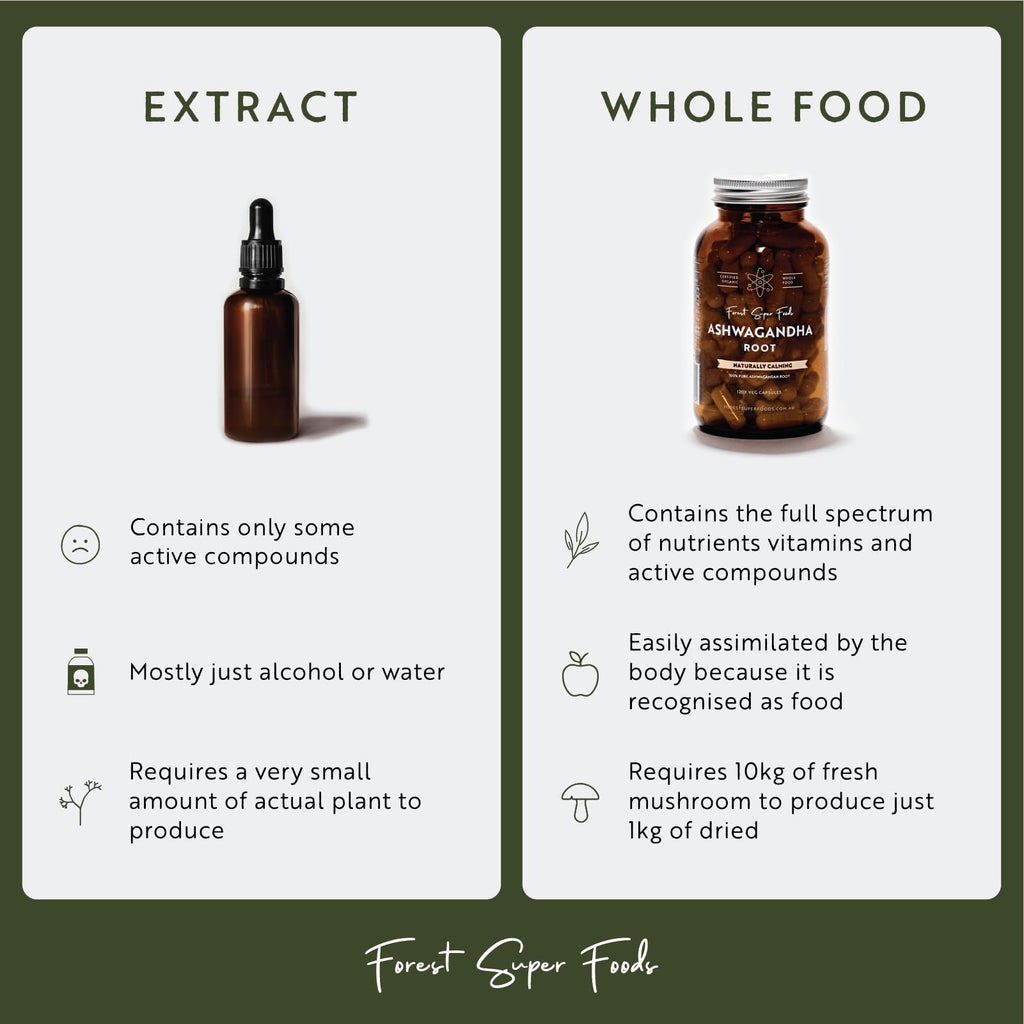 organic chaga mushrooms for wellness
