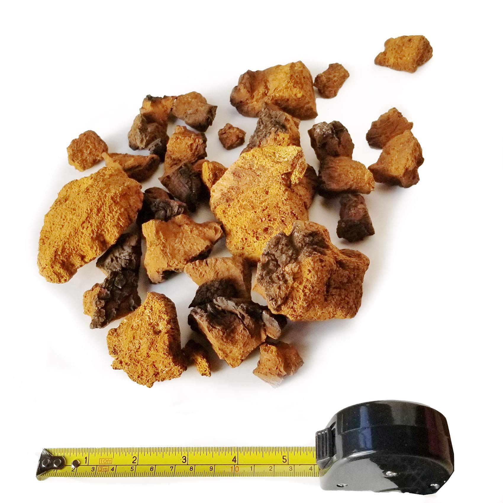 organic chaga mushrooms for wellness
