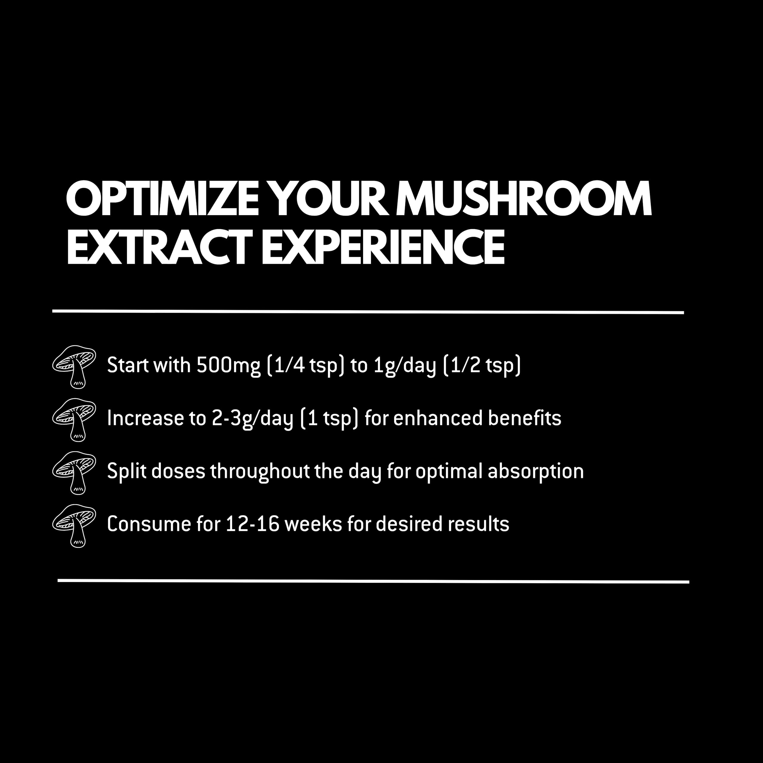 organic chaga mushrooms for wellness