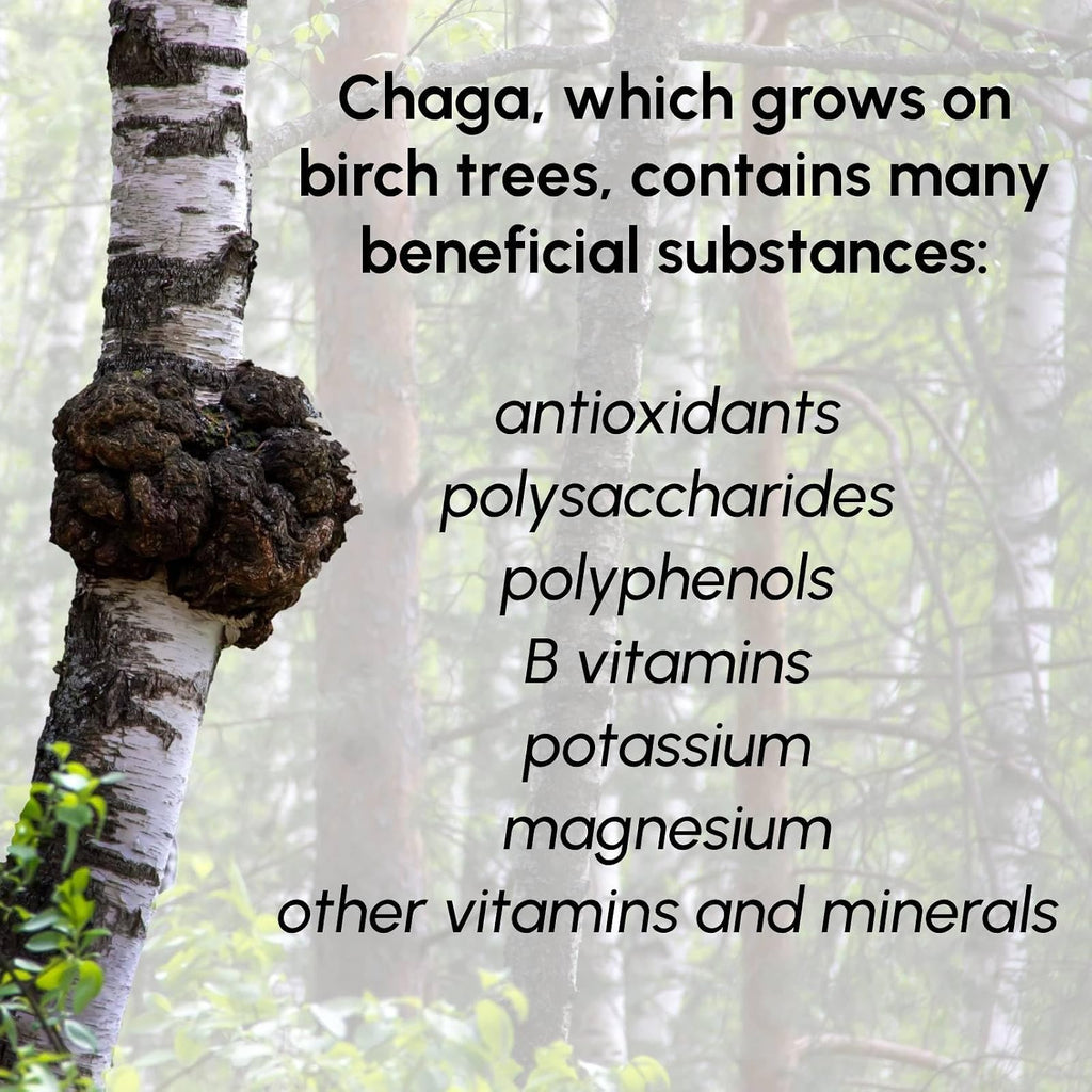 Organic chaga powder for wellness