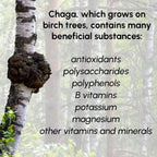 Organic chaga powder for wellness