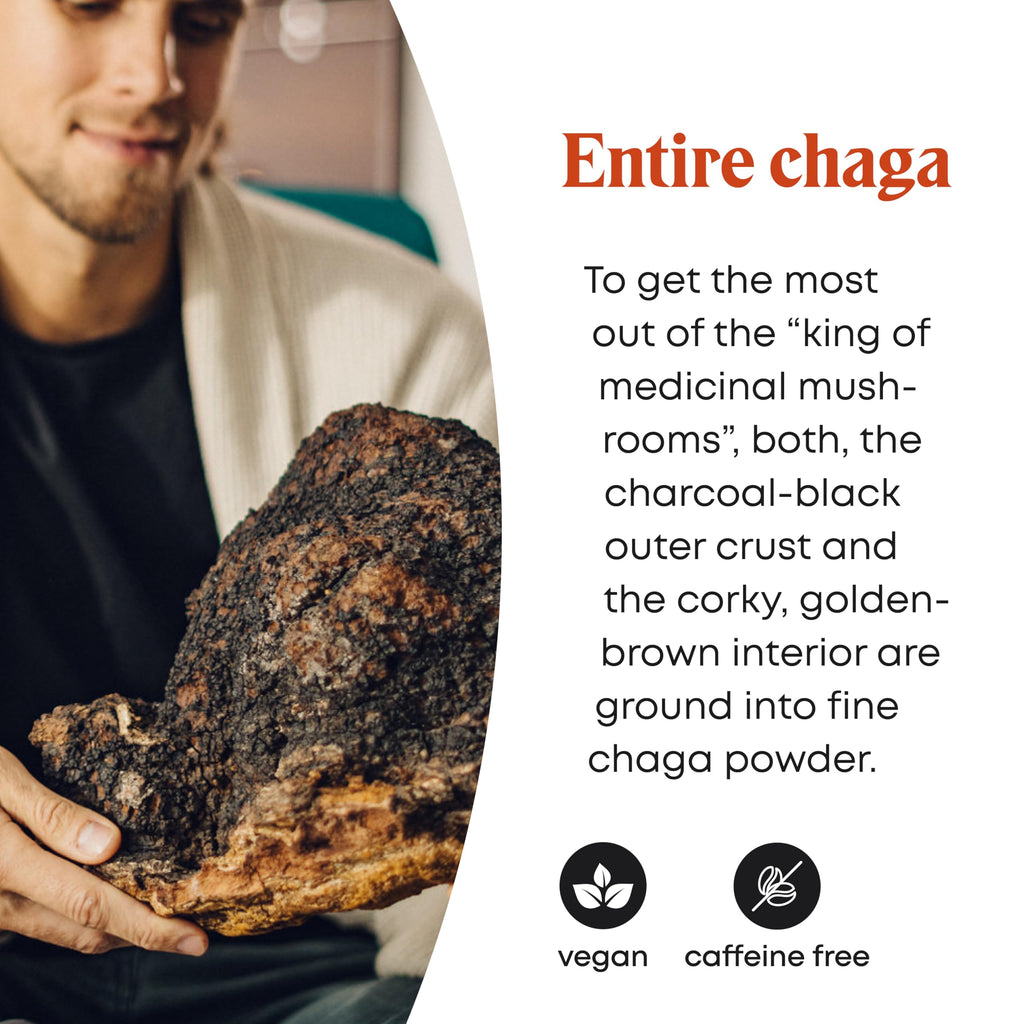 organic chaga powder from Estonia