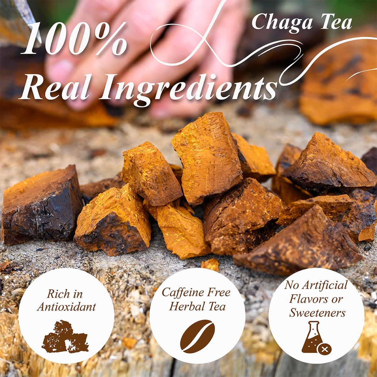 organic chaga tea bags for wellness