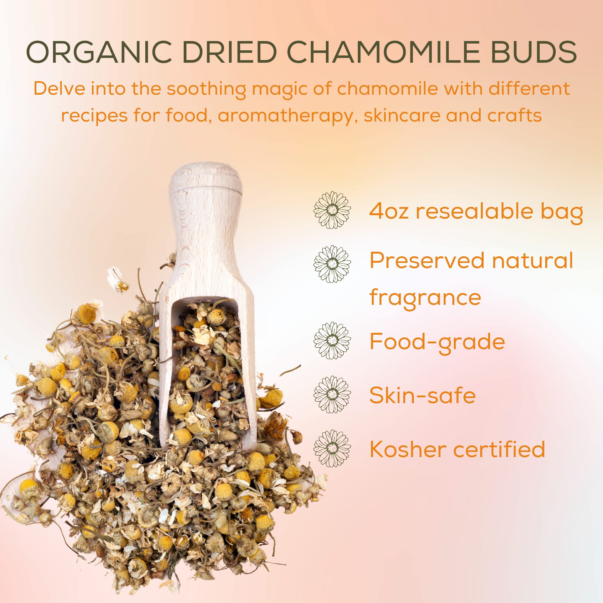 organic chamomile for wellness routines