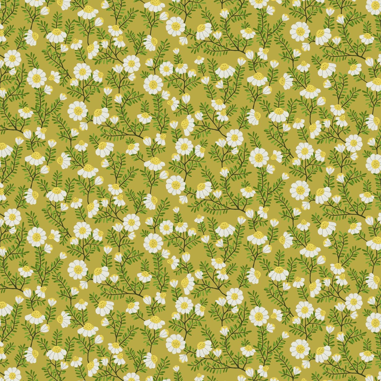 organic chamomile loose leaf tea