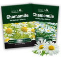 organic chamomile seeds for tea